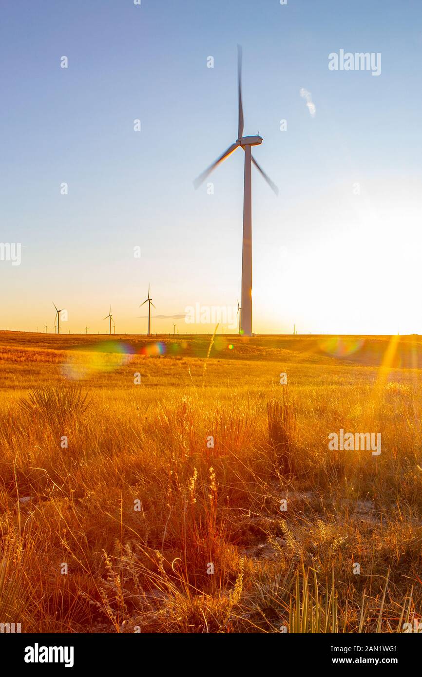 Colorado Wind Farm located on a wheat field during sunrise Stock Photo ...