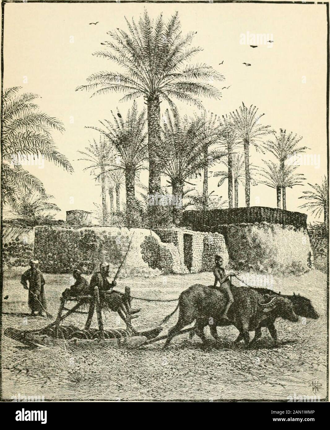 Threshing sledge hi-res stock photography and images - Alamy