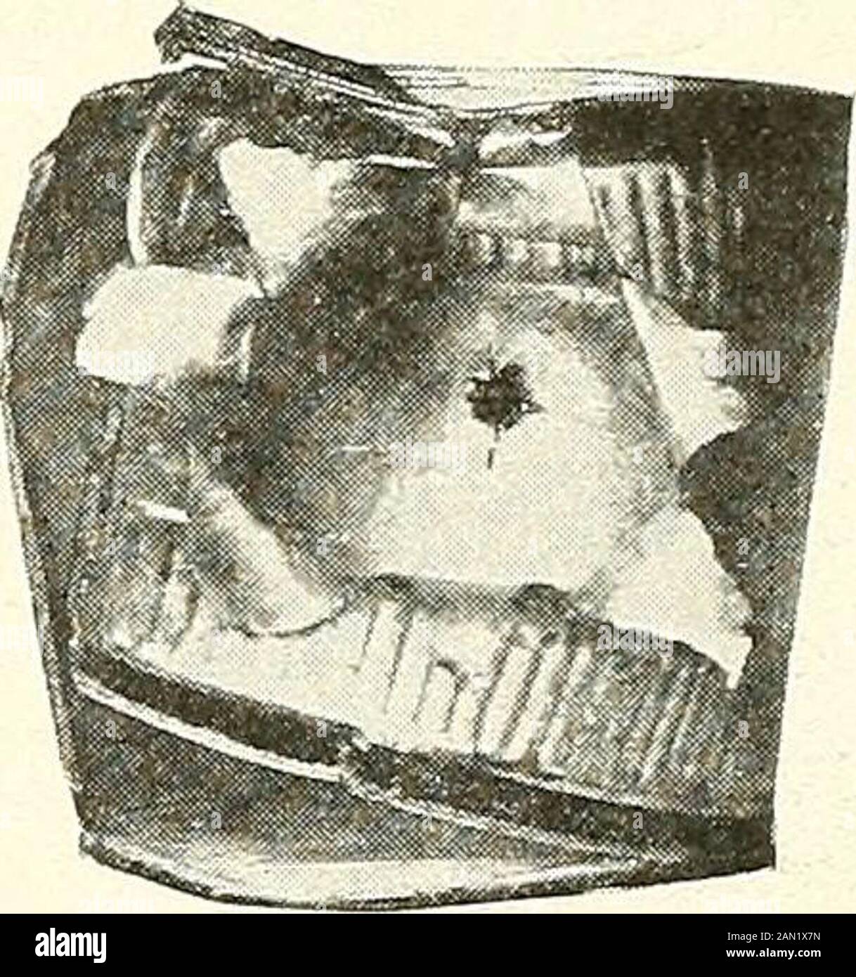 Gunshot injuries : how they are inflicted : their complications and ...