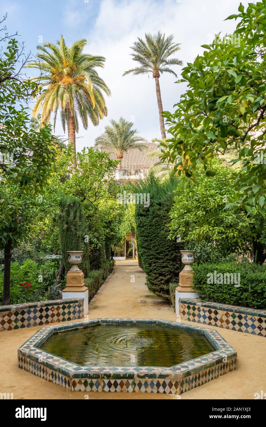 Sevilla orange hi-res stock photography and images - Alamy