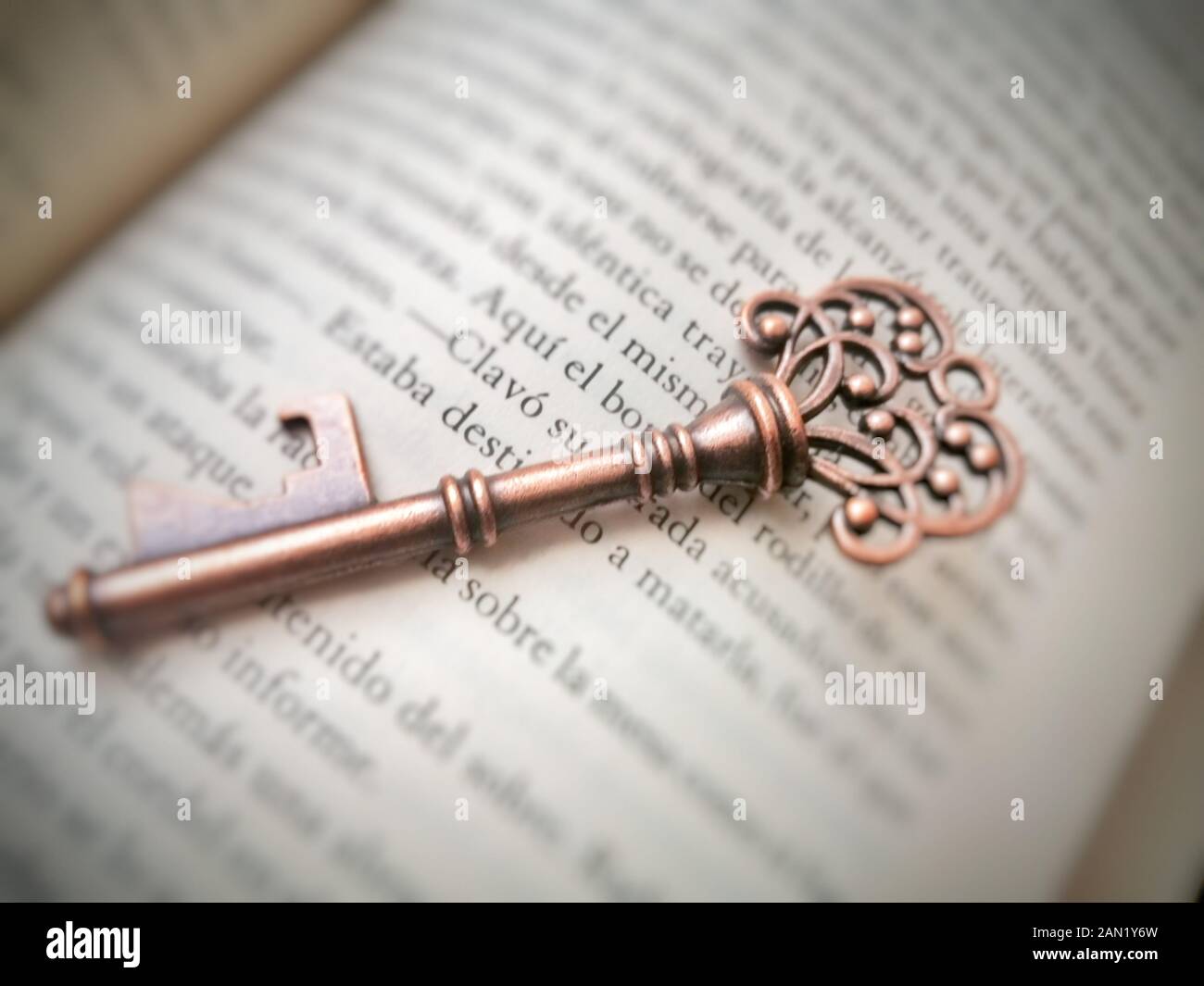 Bronze page hi-res stock photography and images - Alamy