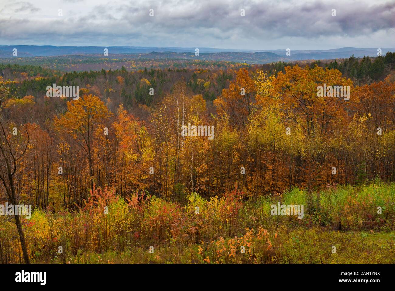 Rolling Fall Colored Hills of Vermont Stock Photo - Alamy