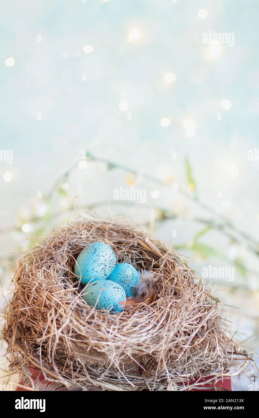 Real nest with three speckled blue eggs sitting over top of a stack of ...