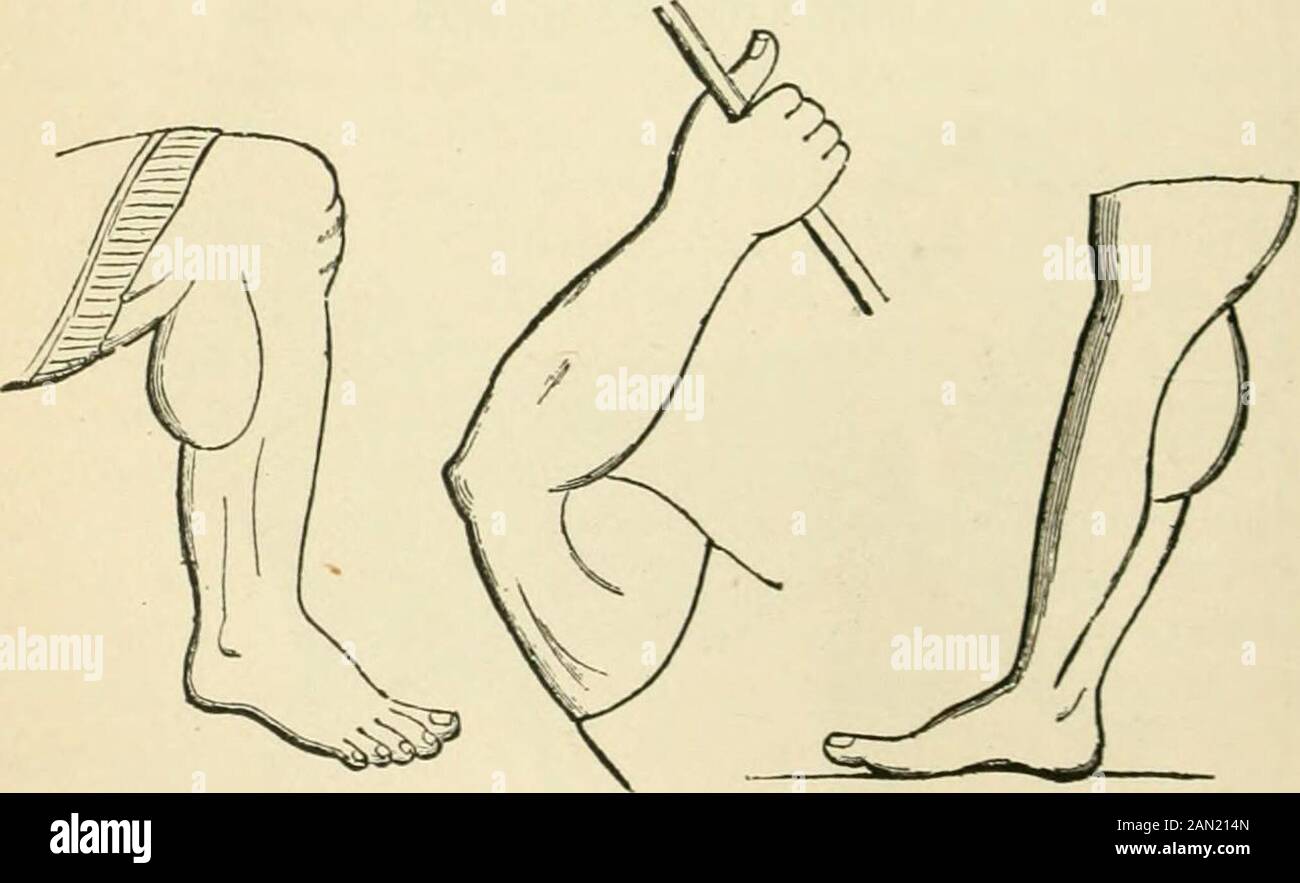 The seven great monarchies of the ancient eastern world: or, The ...