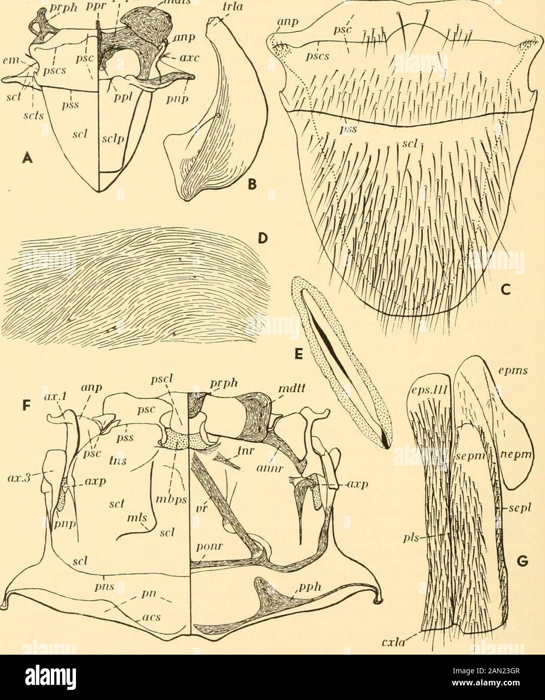 Smithsonian process hi-res stock photography and images - Alamy