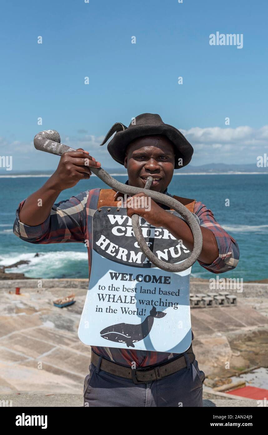 South africa cape whale coast route tourism tourist attraction hi-res ...