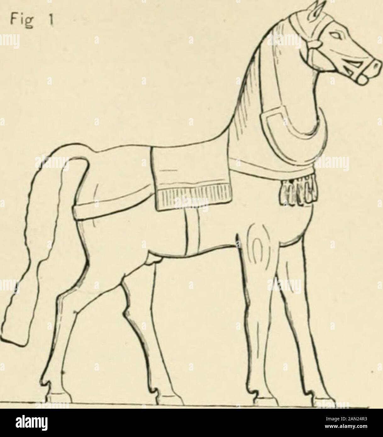 Cushite hi-res stock photography and images - Alamy