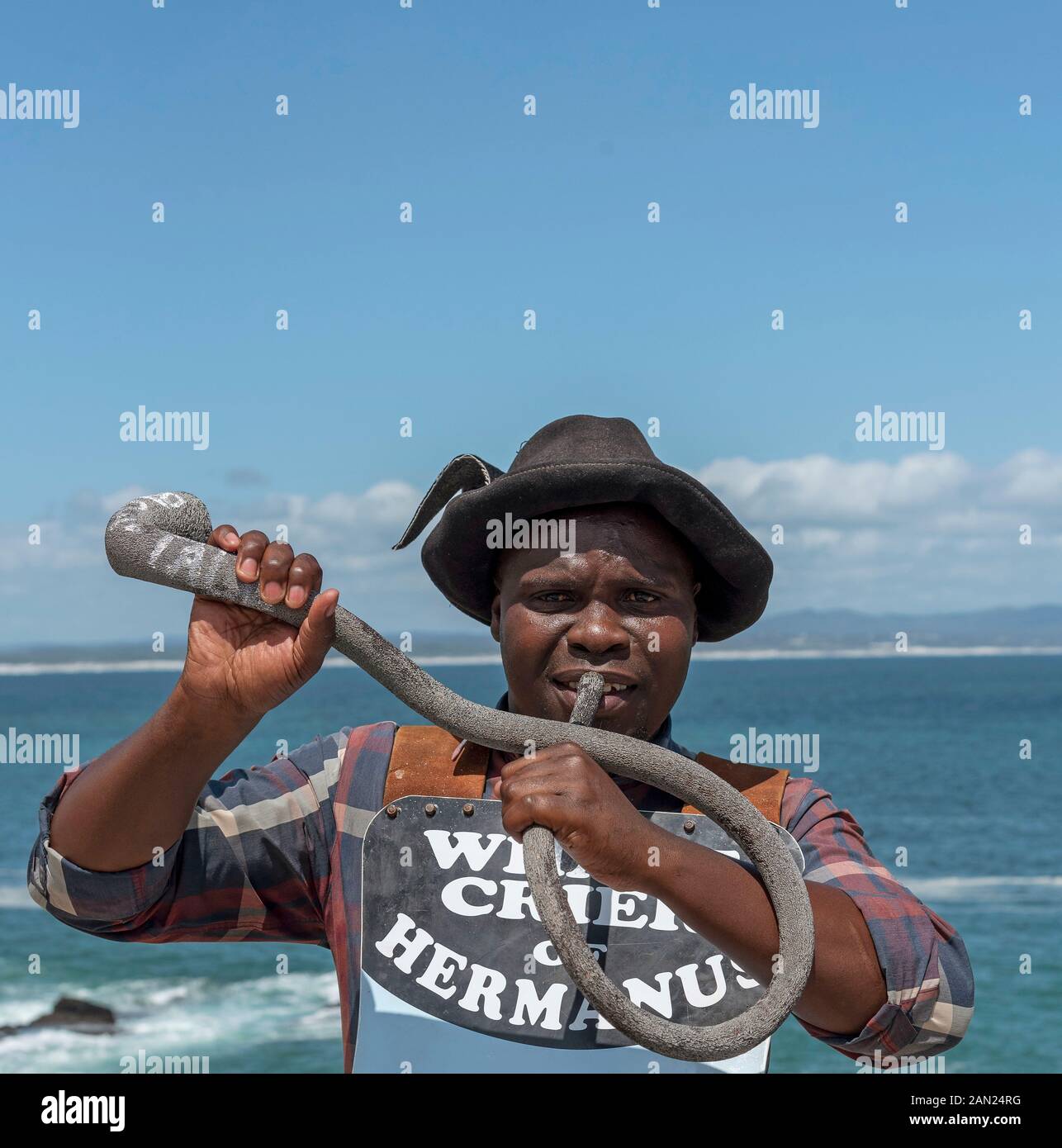 South africa cape whale coast route tourism tourist attraction hi-res ...