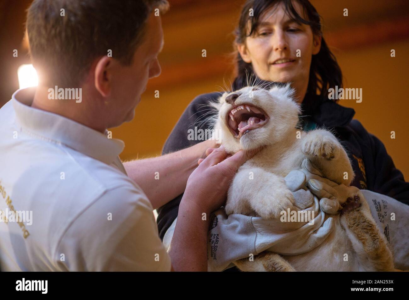 Jan mensing hi-res stock photography and images - Alamy