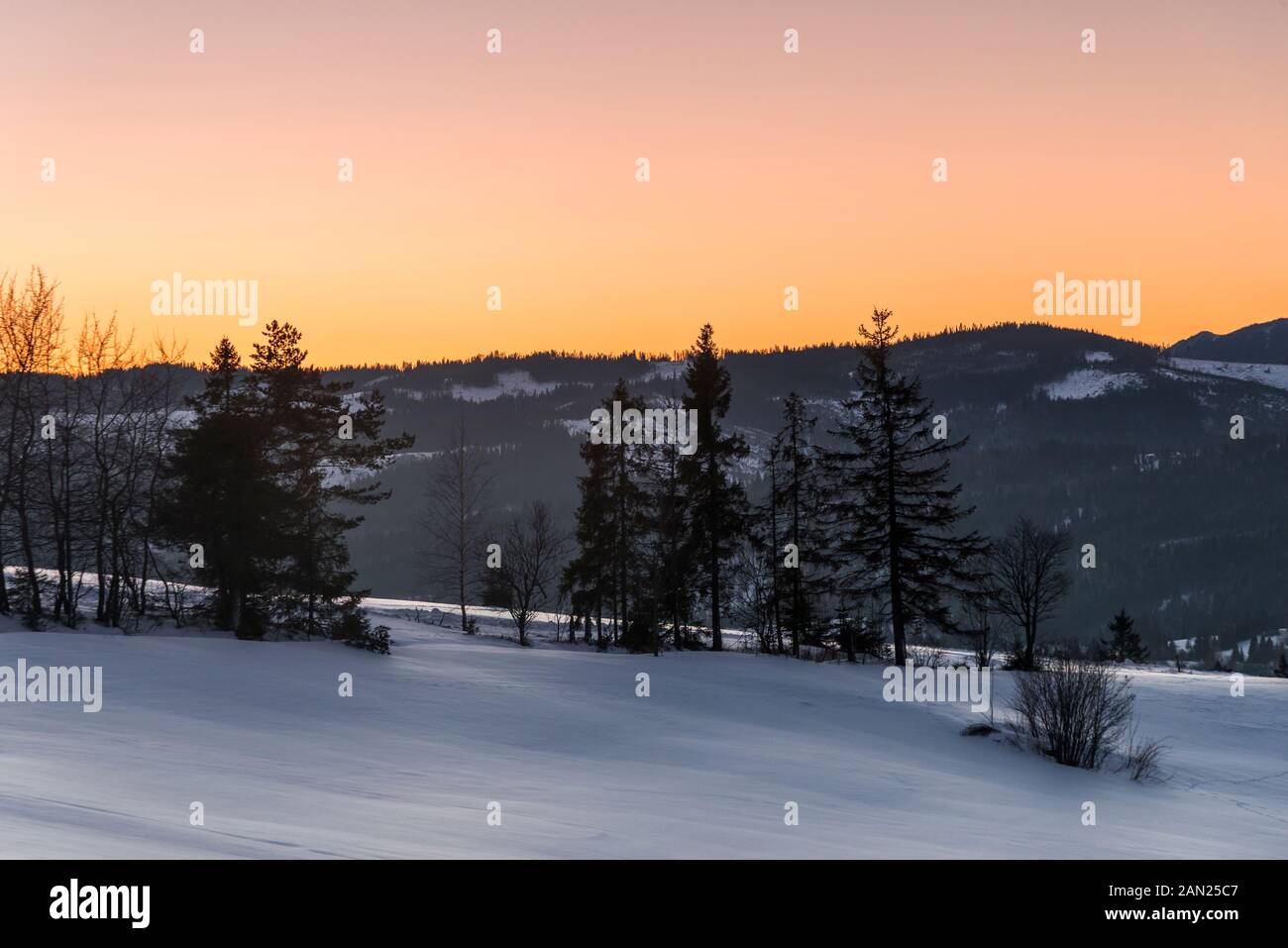 Views on Tatra Mountain in winter scenery from Lapszanka Pass Stock ...