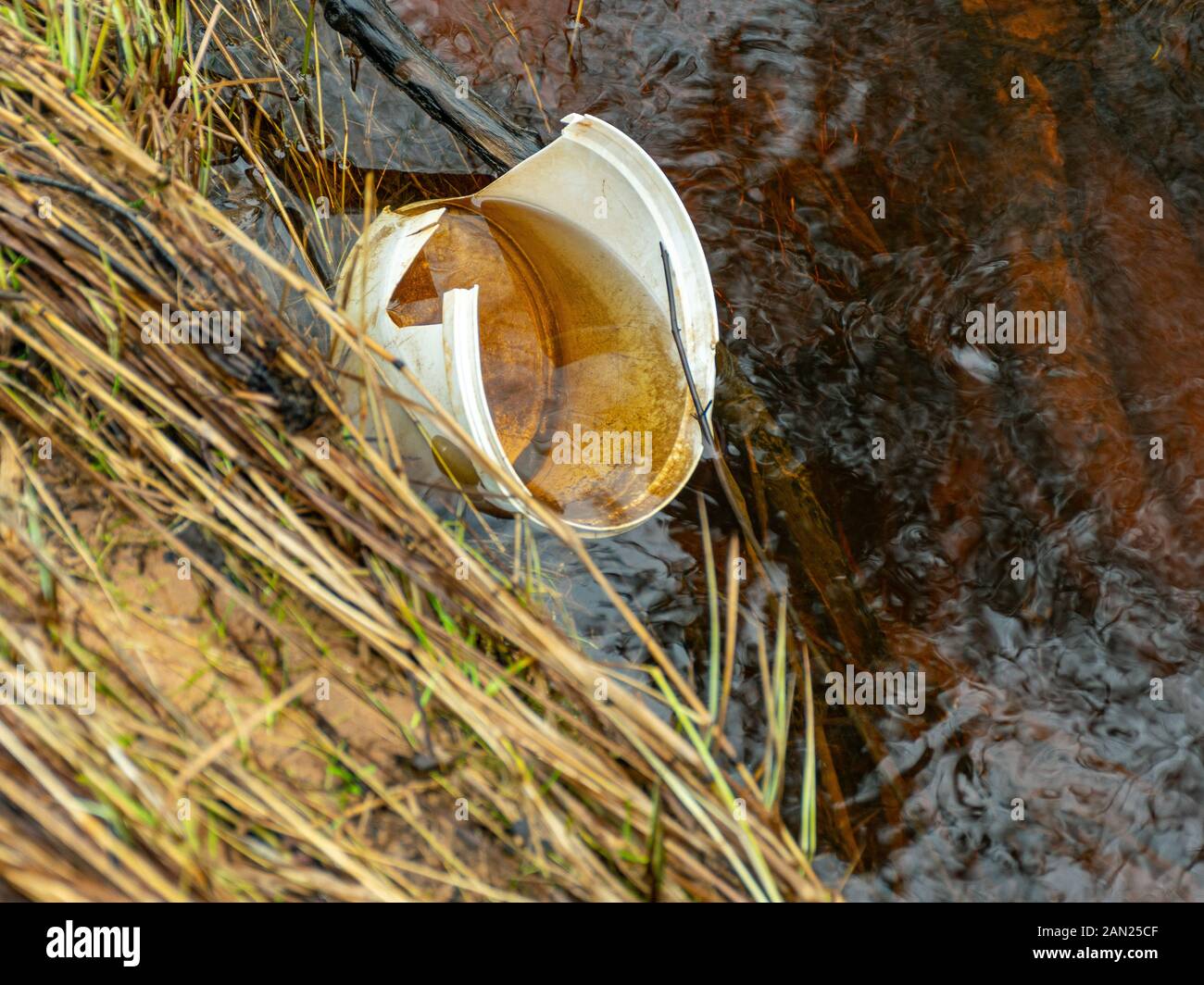 picture of people leaving garbage on the river bank, garbage ingested ...
