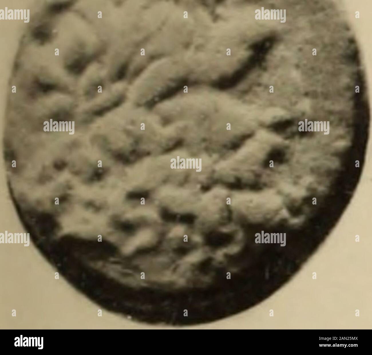 The Apocalypse of StJohn, the Greek text; with introduction, notes and ...