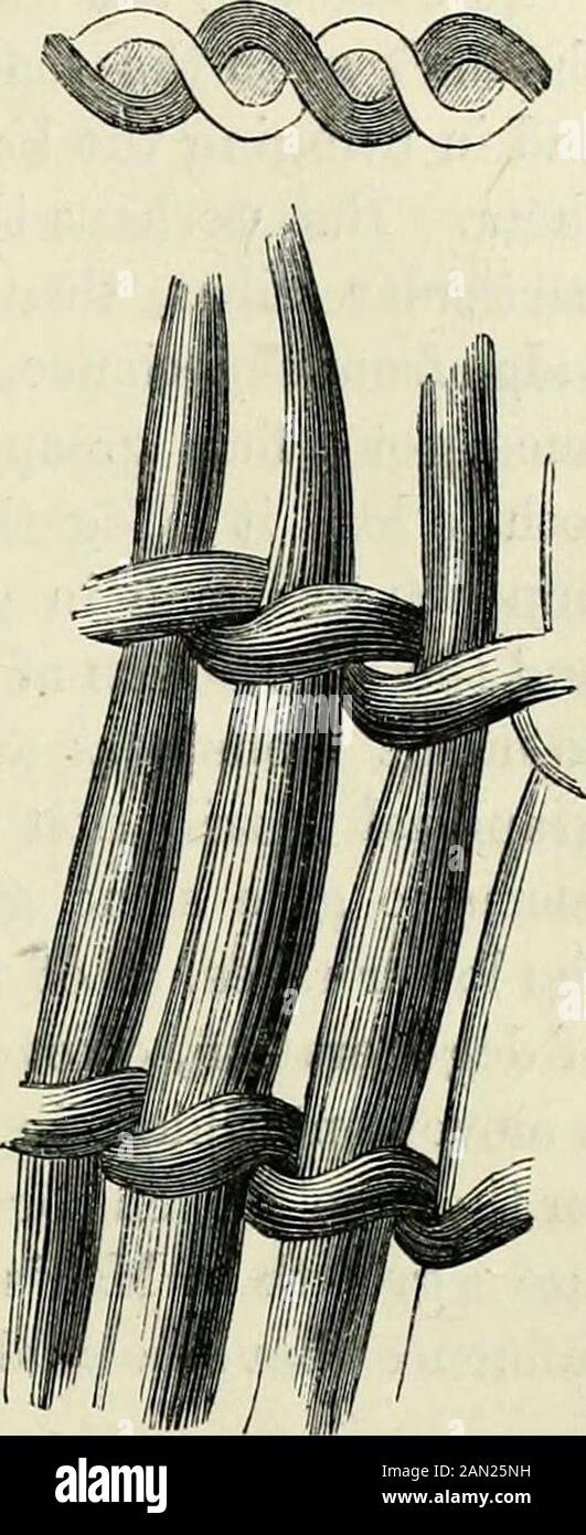 Polynesian weaving hi-res stock photography and images - Alamy