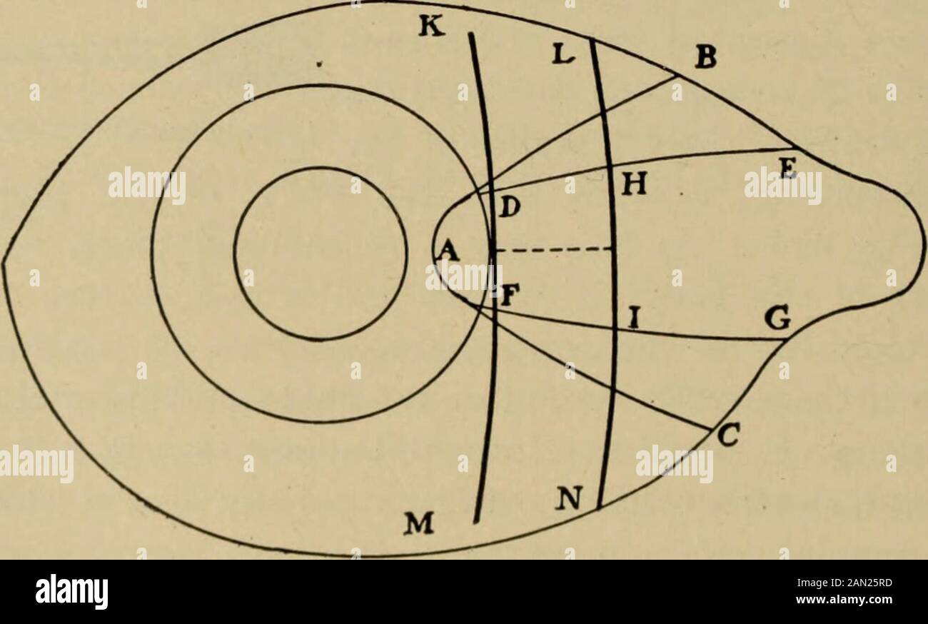Conjunctival fornix hi-res stock photography and images - Alamy
