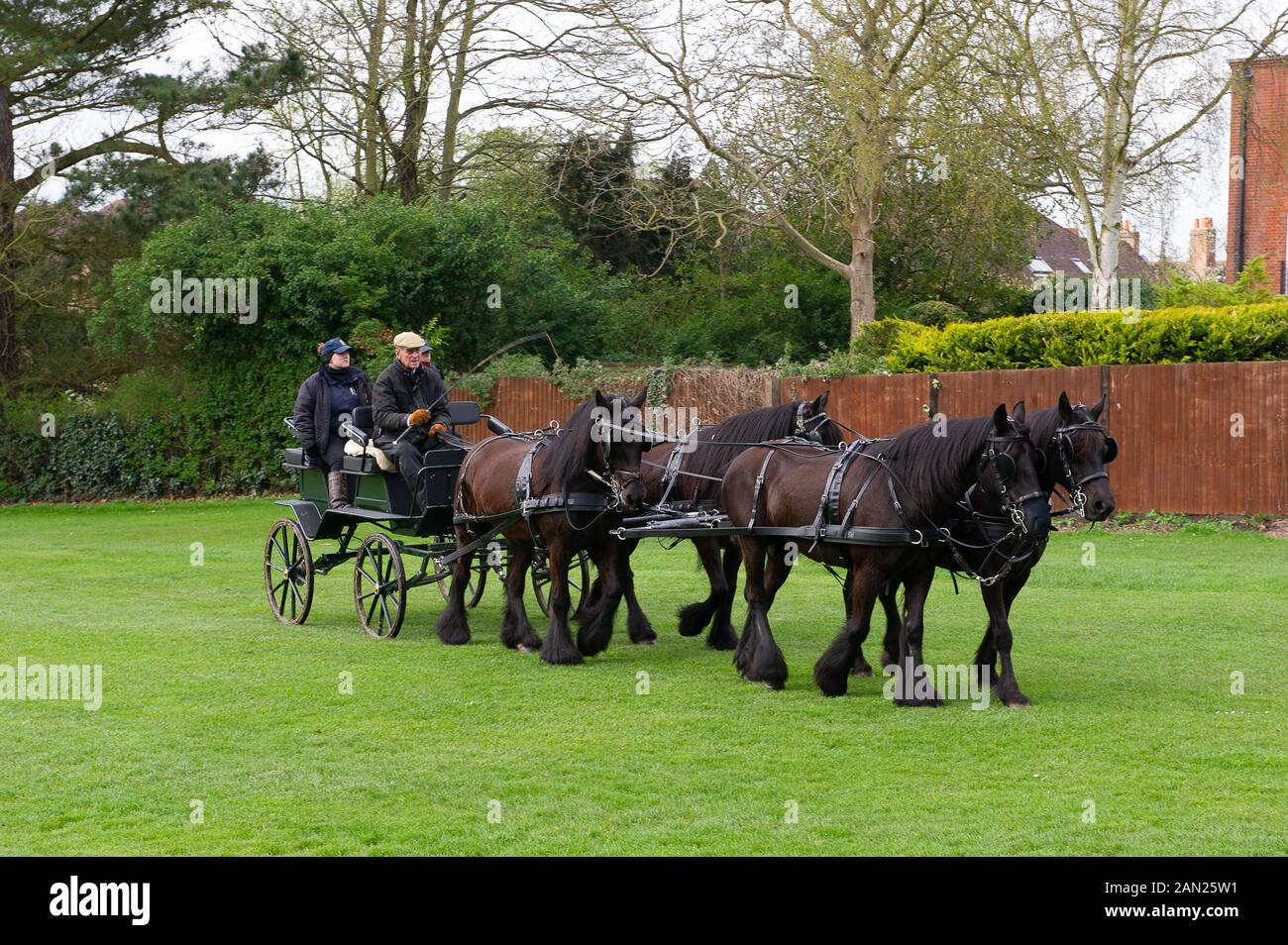 Prince philip carriage driving hi-res stock photography and images - Alamy