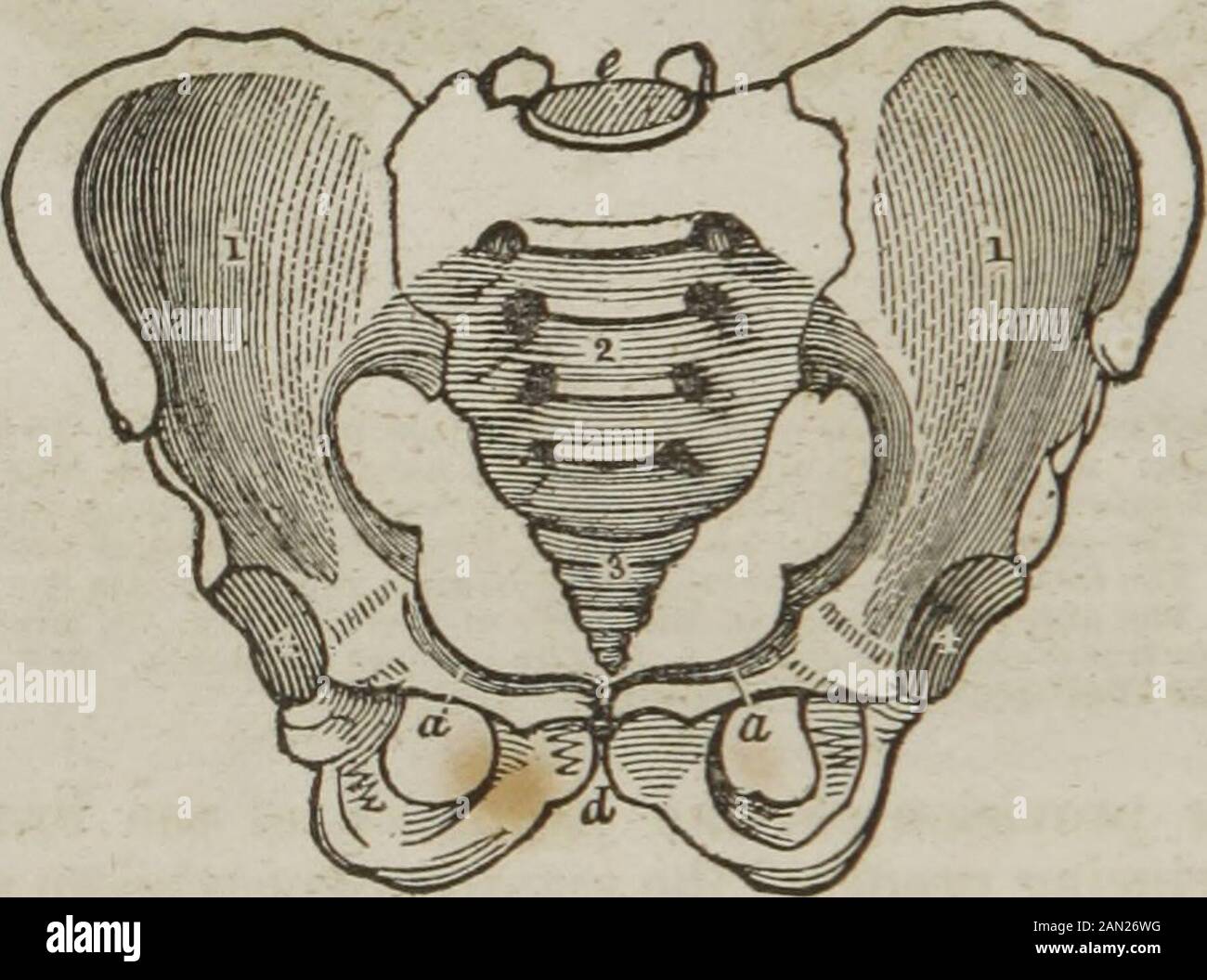 Adeep hi-res stock photography and images - Alamy