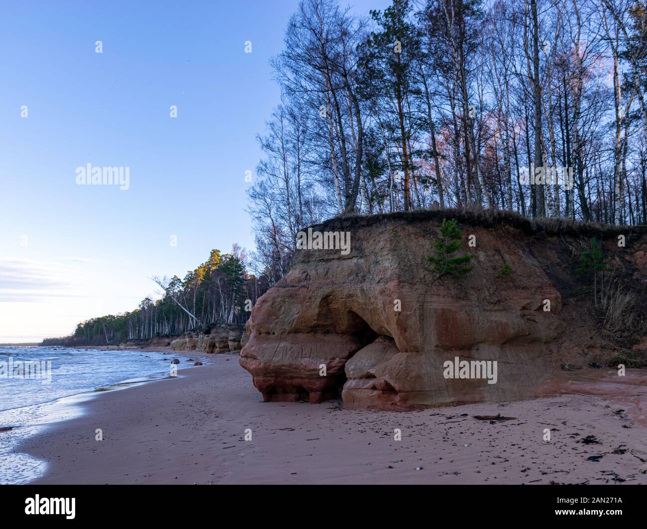 landscape with sandstone cliff at sunrise, rocky seashore, windy ...