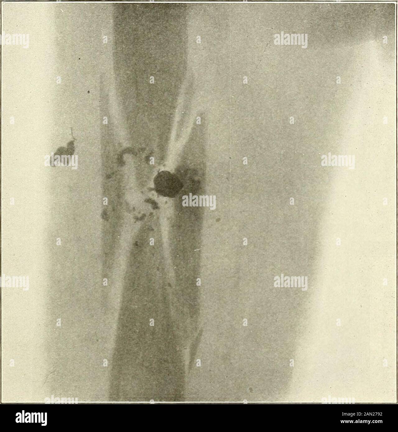 Schoolcollection hi-res stock photography and images - Alamy