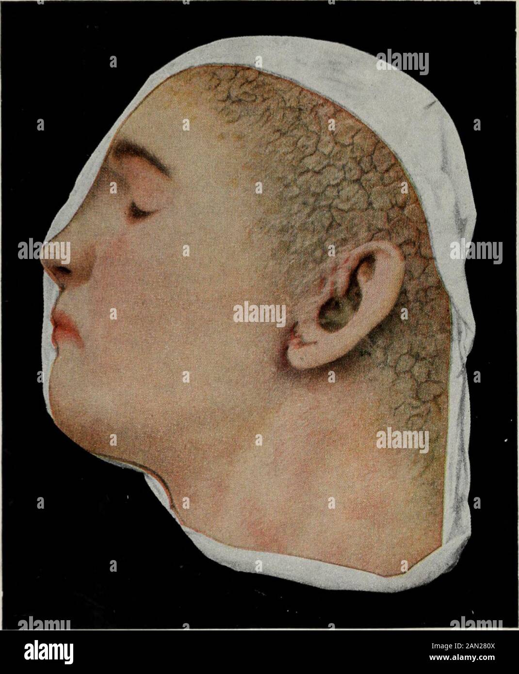 Health knowledge : a thorough and concise knowledge of the prevention ...