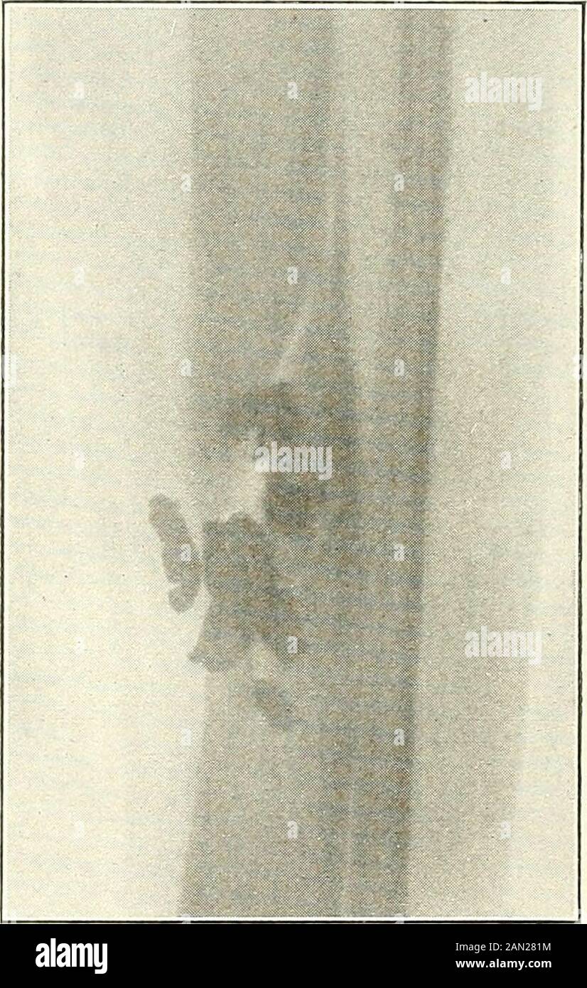 Gunshot wounds doctor hi-res stock photography and images - Alamy