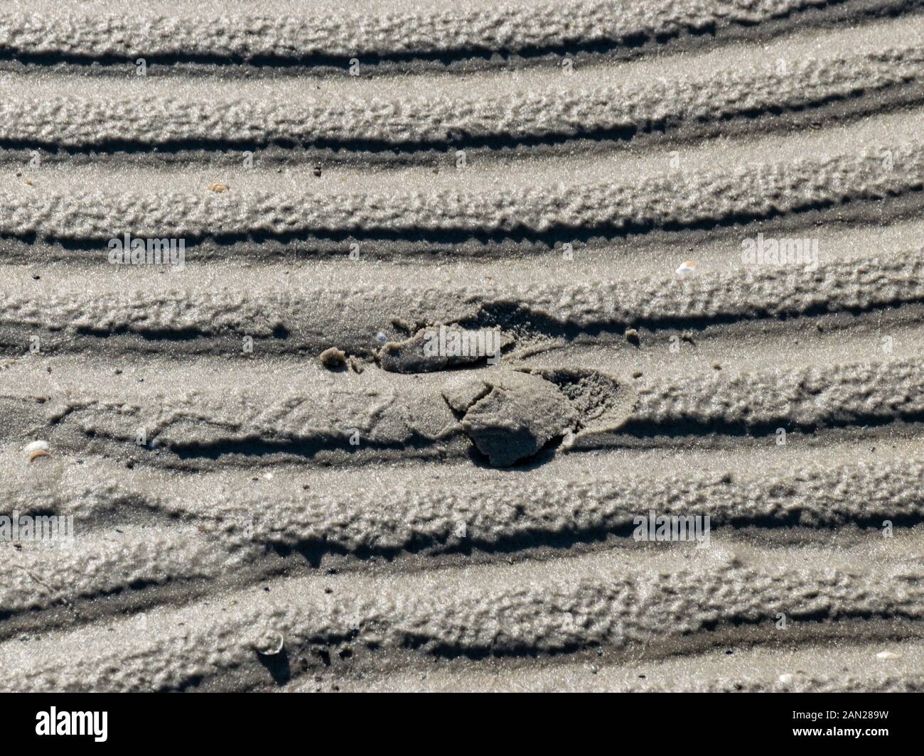 abstract texture with sand texture, sea water and sand formations on ...