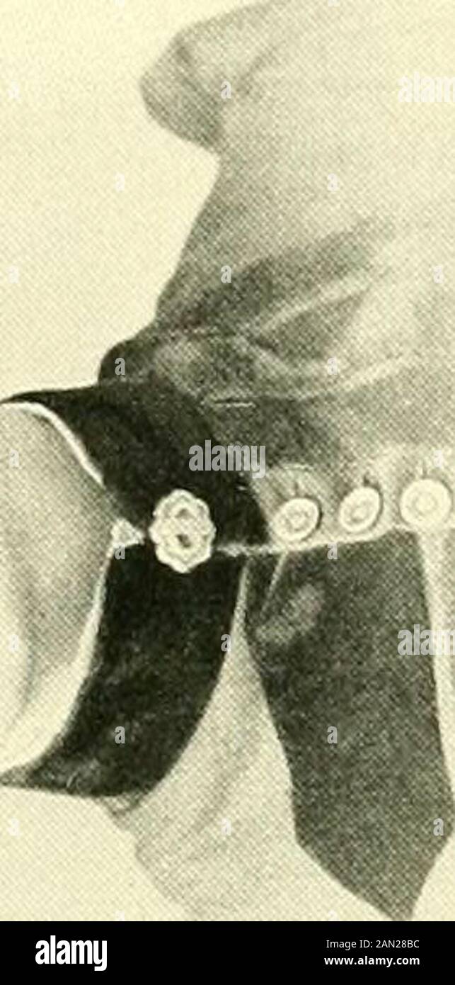 Memorial and biographical record and illustrated compendium of ...