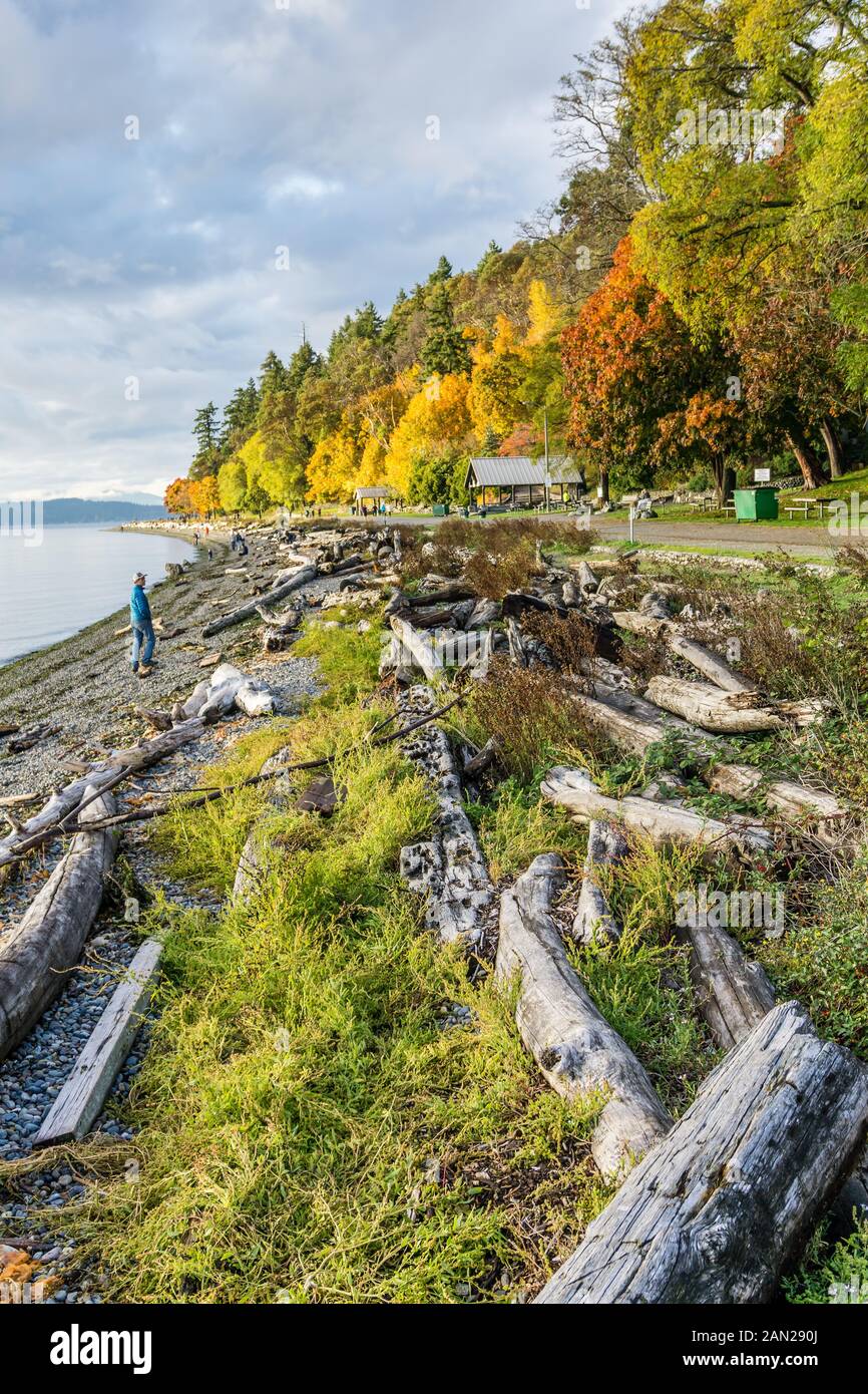 Trees are alive with autumn colors along the shore at Lincoln Park in ...