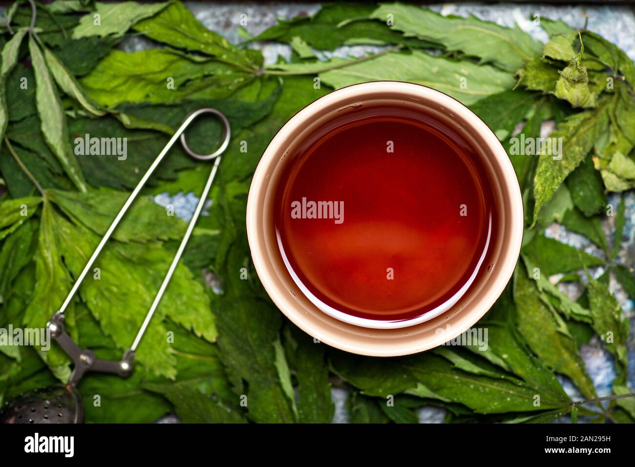 Marijuana herbal tea on cannabis leaves covered table Stock Photo - Alamy