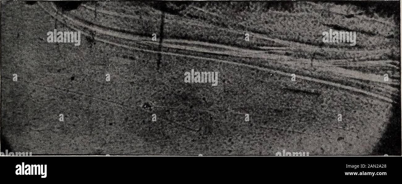 Bookidcharacterist hi-res stock photography and images - Alamy