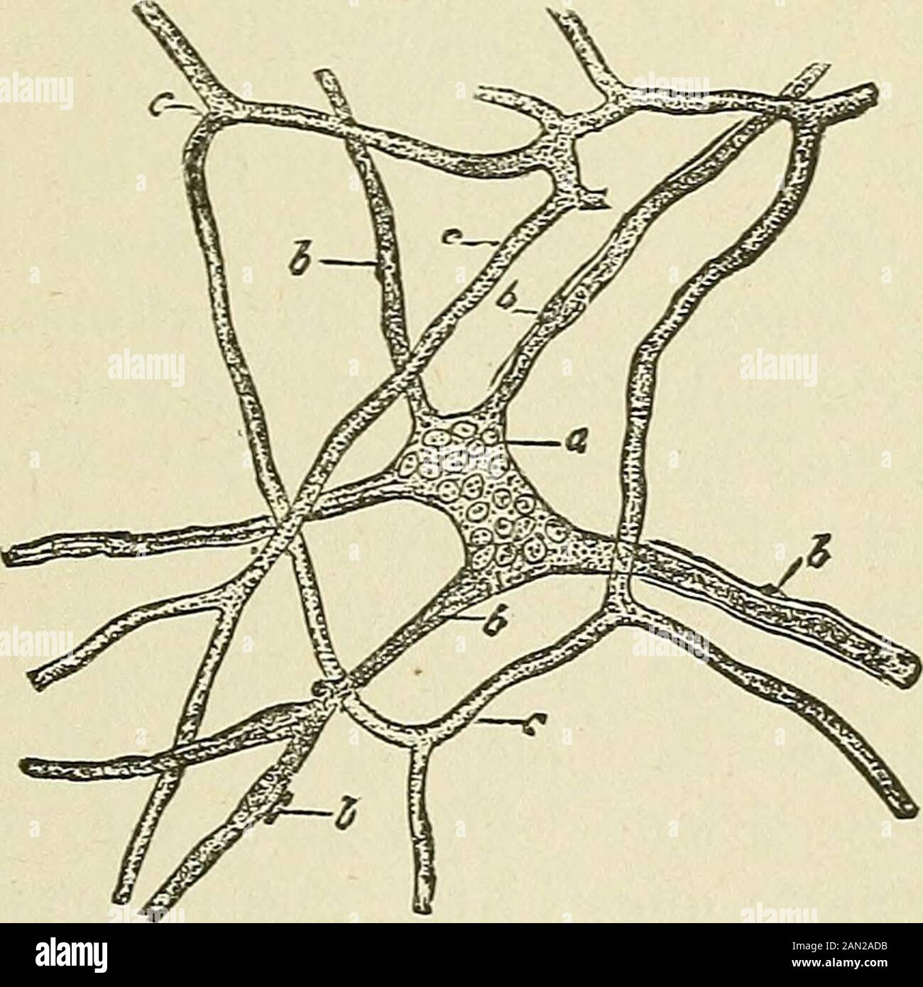 100 b c to 200 a d hi-res stock photography and images - Alamy