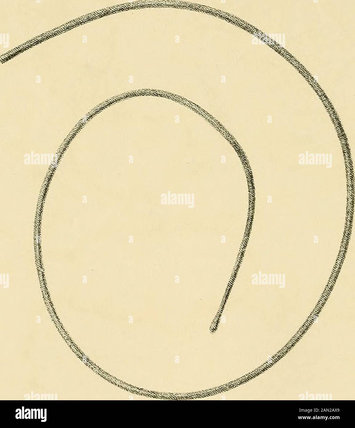 Calculus records hi-res stock photography and images - Alamy