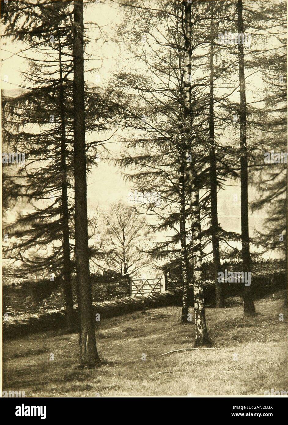 Wishing gate hi-res stock photography and images - Alamy