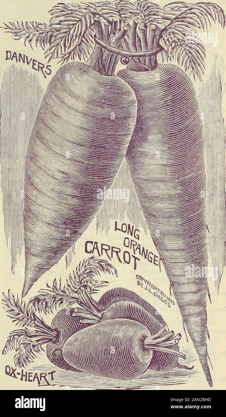 Dry cluster beans hi-res stock photography and images - Alamy