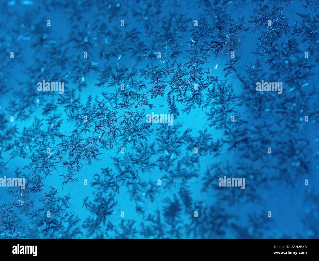 Early winter morning low temperature frozen water drops view on the ...