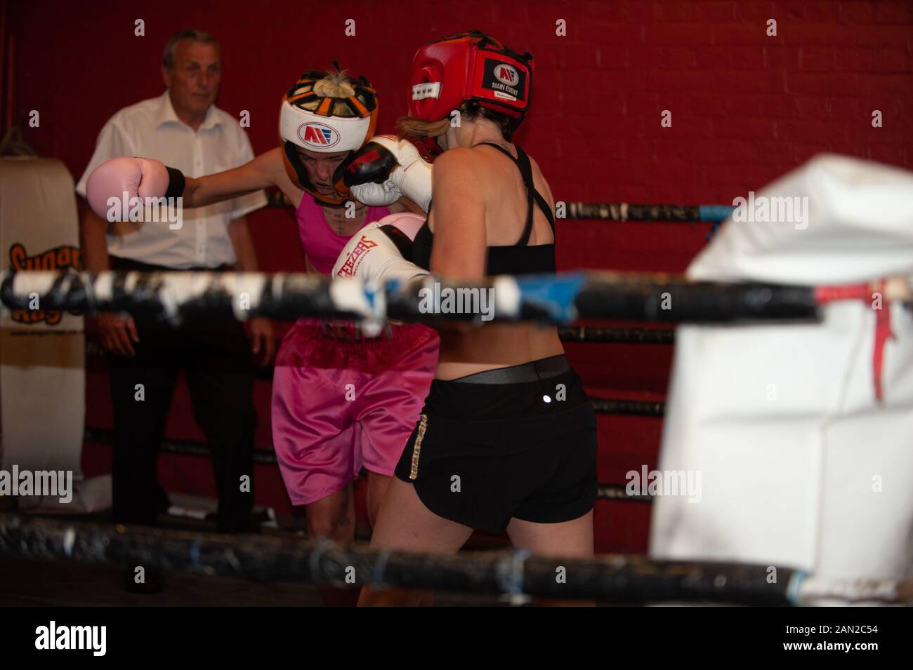 Women boxing referee hi-res stock photography and images - Alamy