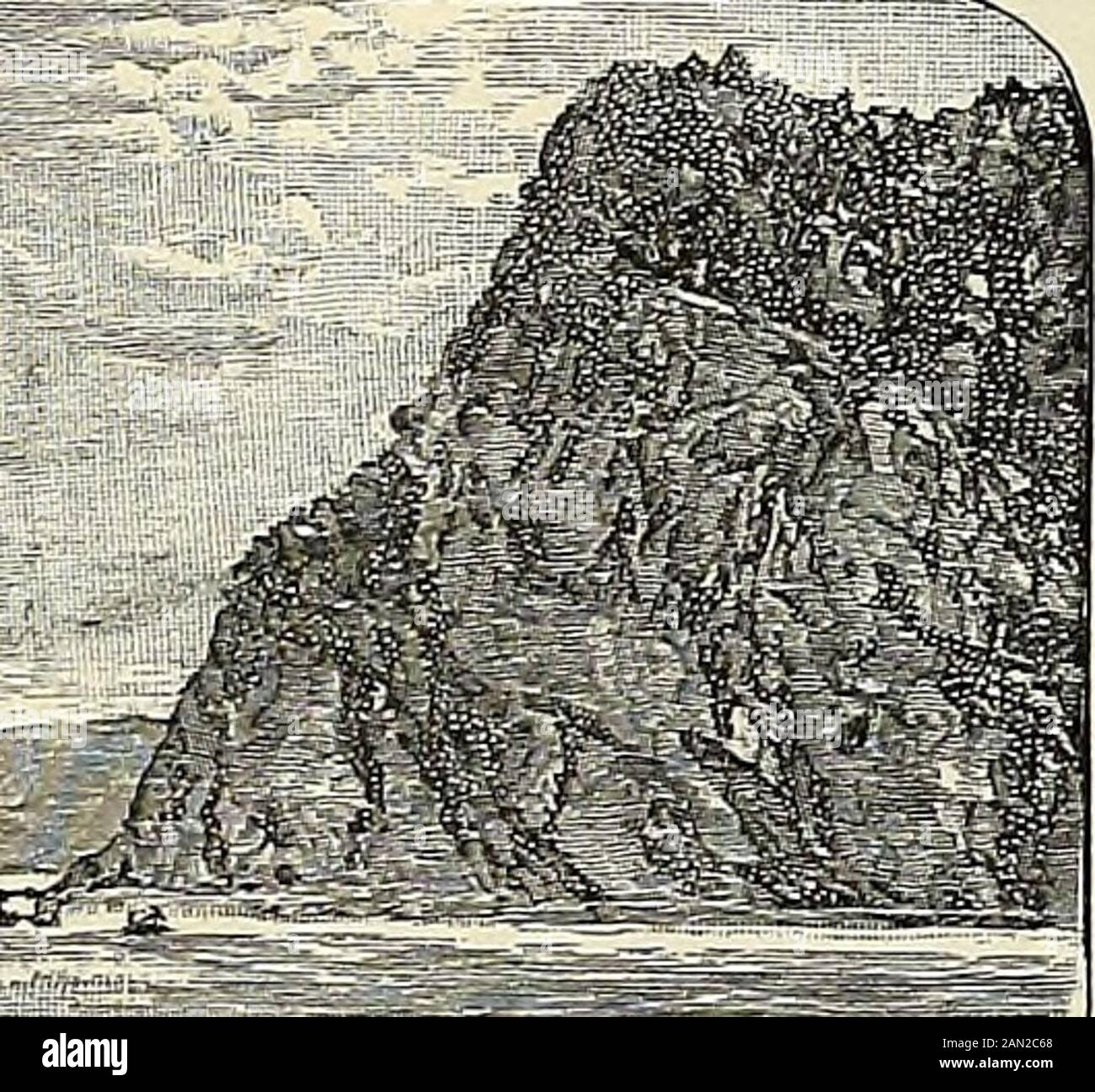 Advanced Geography . Castle on the Rhine.. Lorelei Rock on the Rhine ...