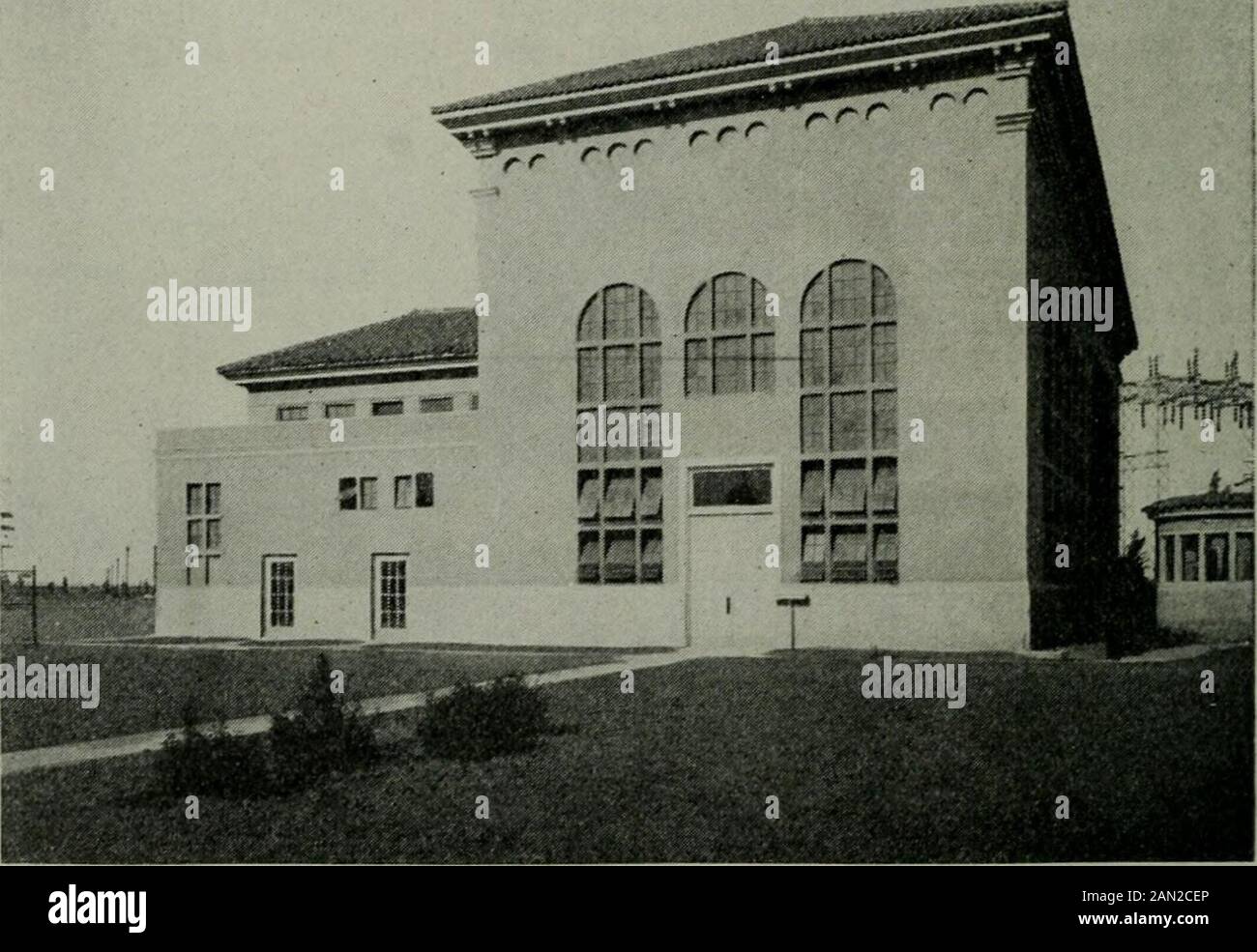 Mini vaca hi-res stock photography and images - Alamy