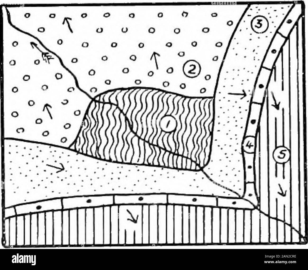 Buried stream bed Black and White Stock Photos & Images - Alamy