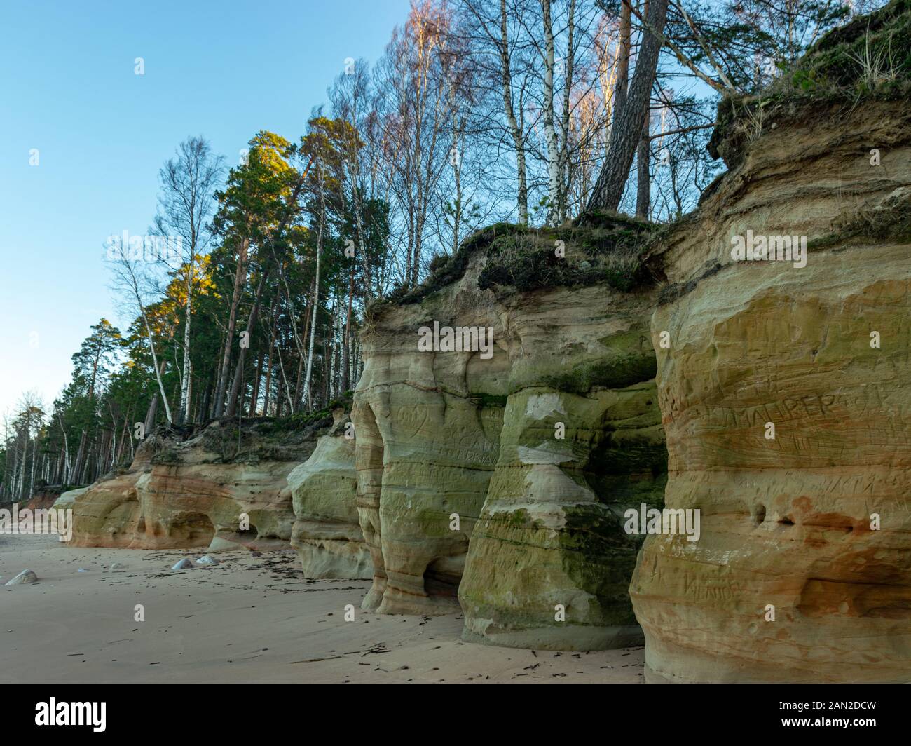 landscape with sandstone cliff at sunrise, rocky seashore, windy ...