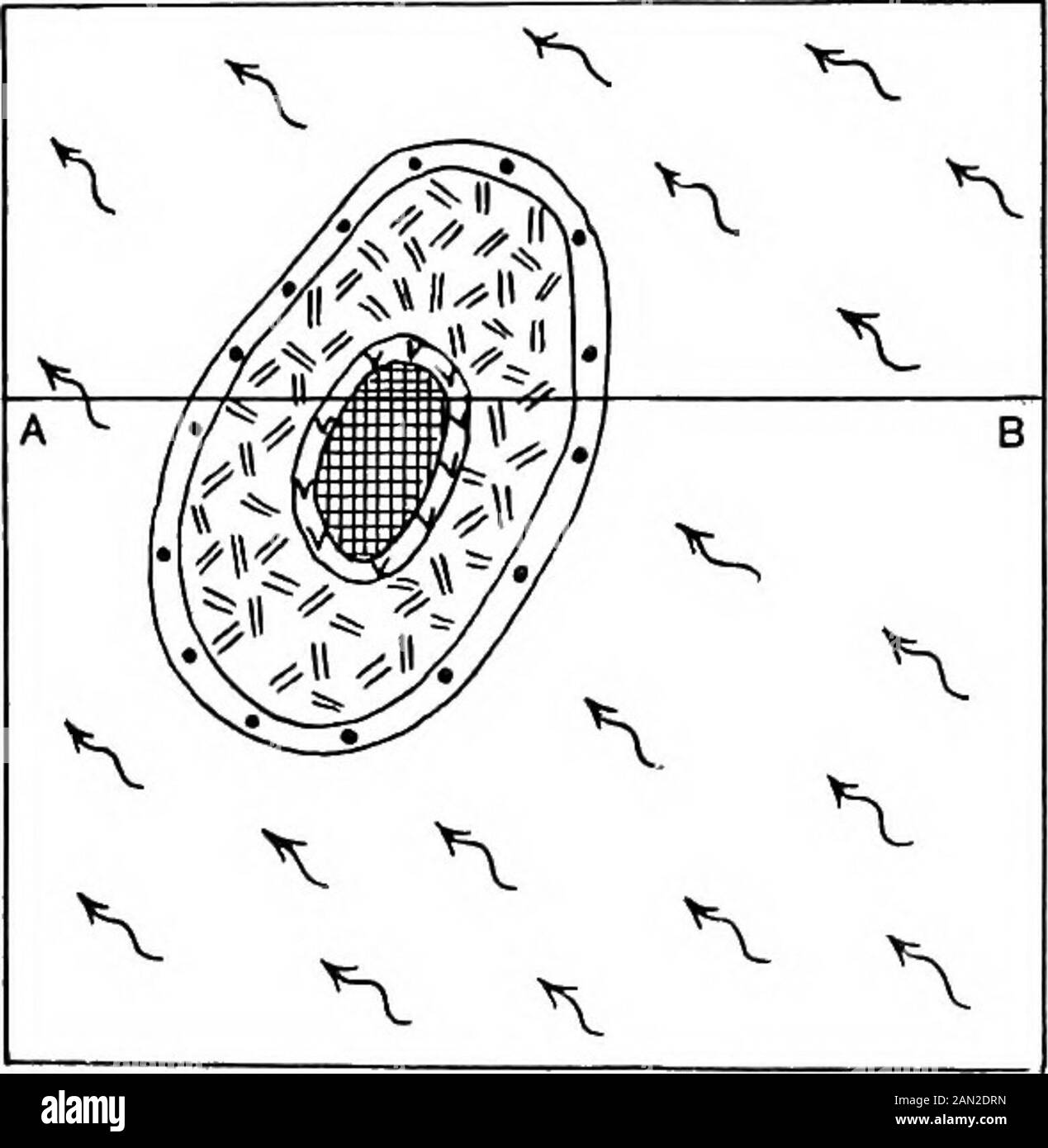 Geological and topographical maps, their interpretation and use, a ...