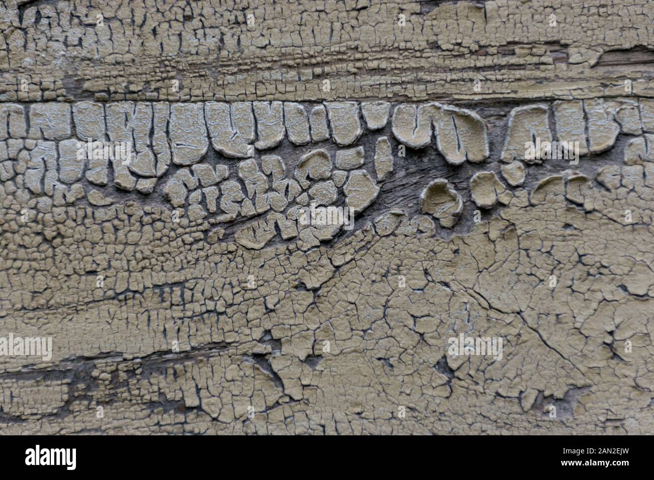 abstract picture with wood texture, texture of wood fibers Stock Photo ...