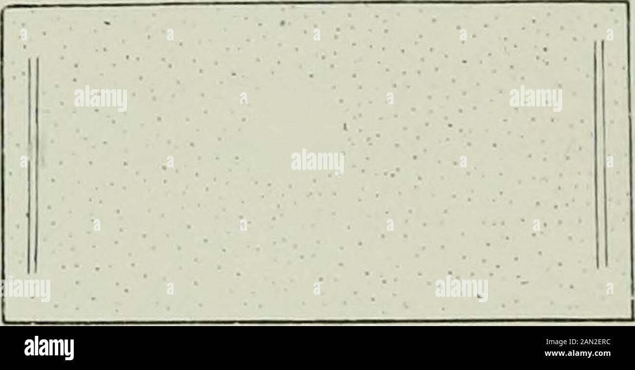 Chilomonas hi-res stock photography and images - Alamy