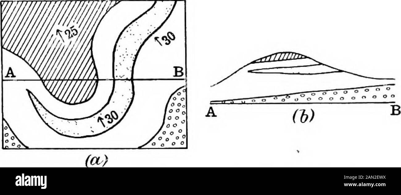 Lenticular bed Black and White Stock Photos & Images - Alamy