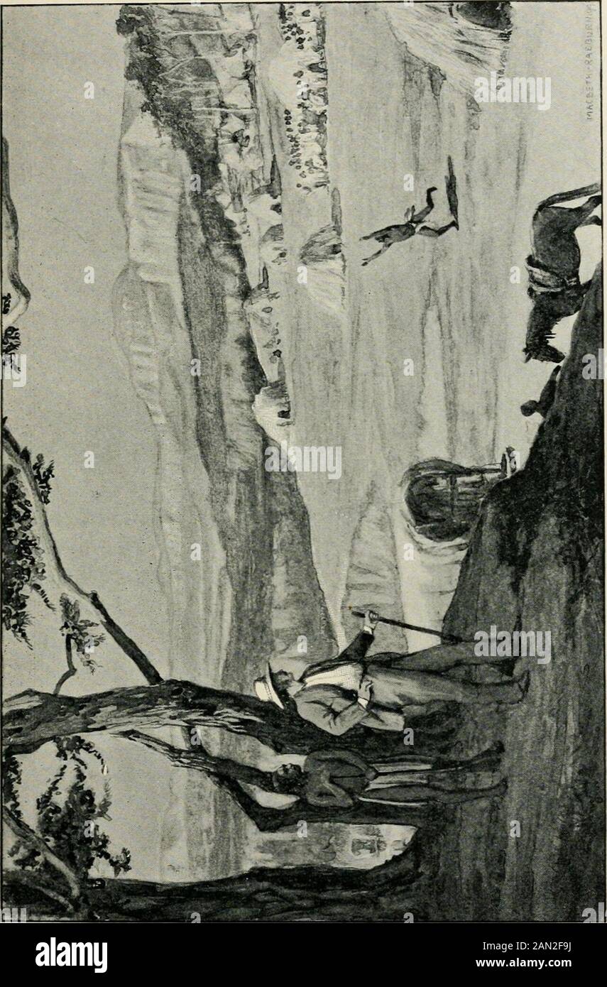 William cotton oswell hi-res stock photography and images - Alamy