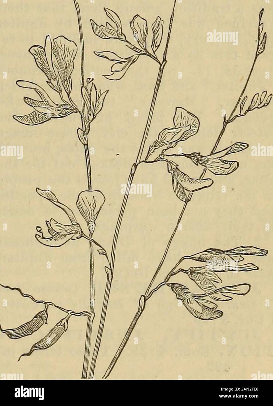 Captain bly hi-res stock photography and images - Alamy