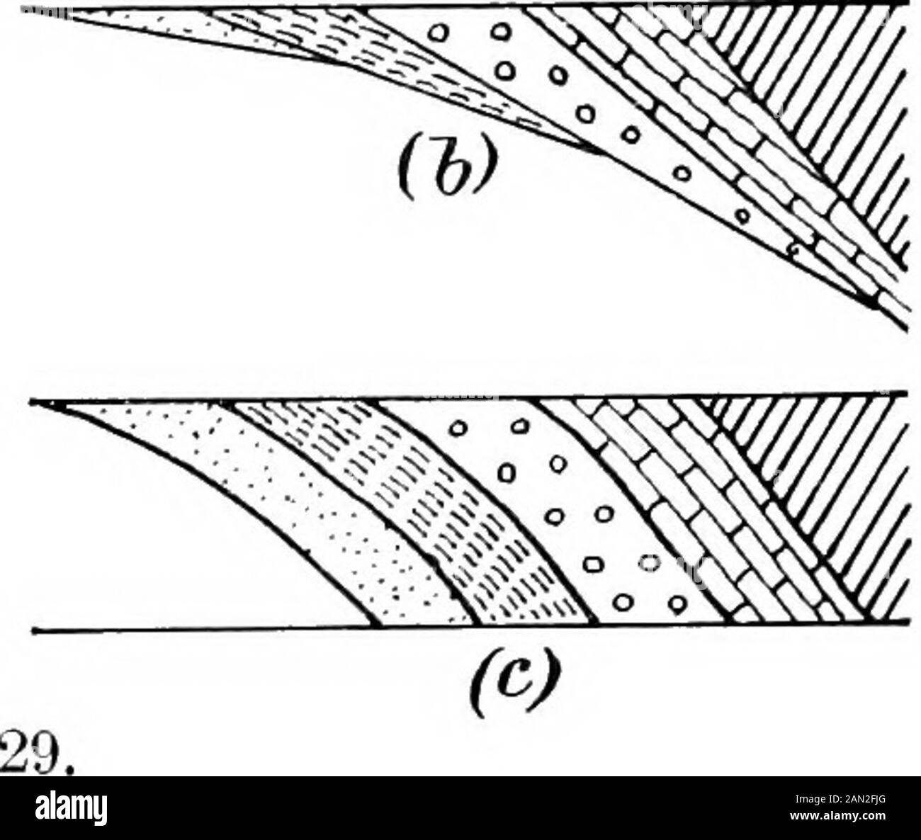 Strata crossed Cut Out Stock Images & Pictures - Alamy