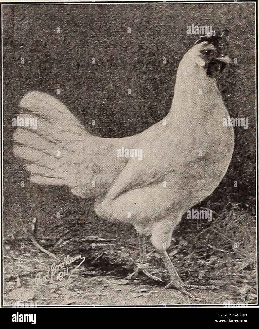 Breeding failure hi-res stock photography and images - Alamy