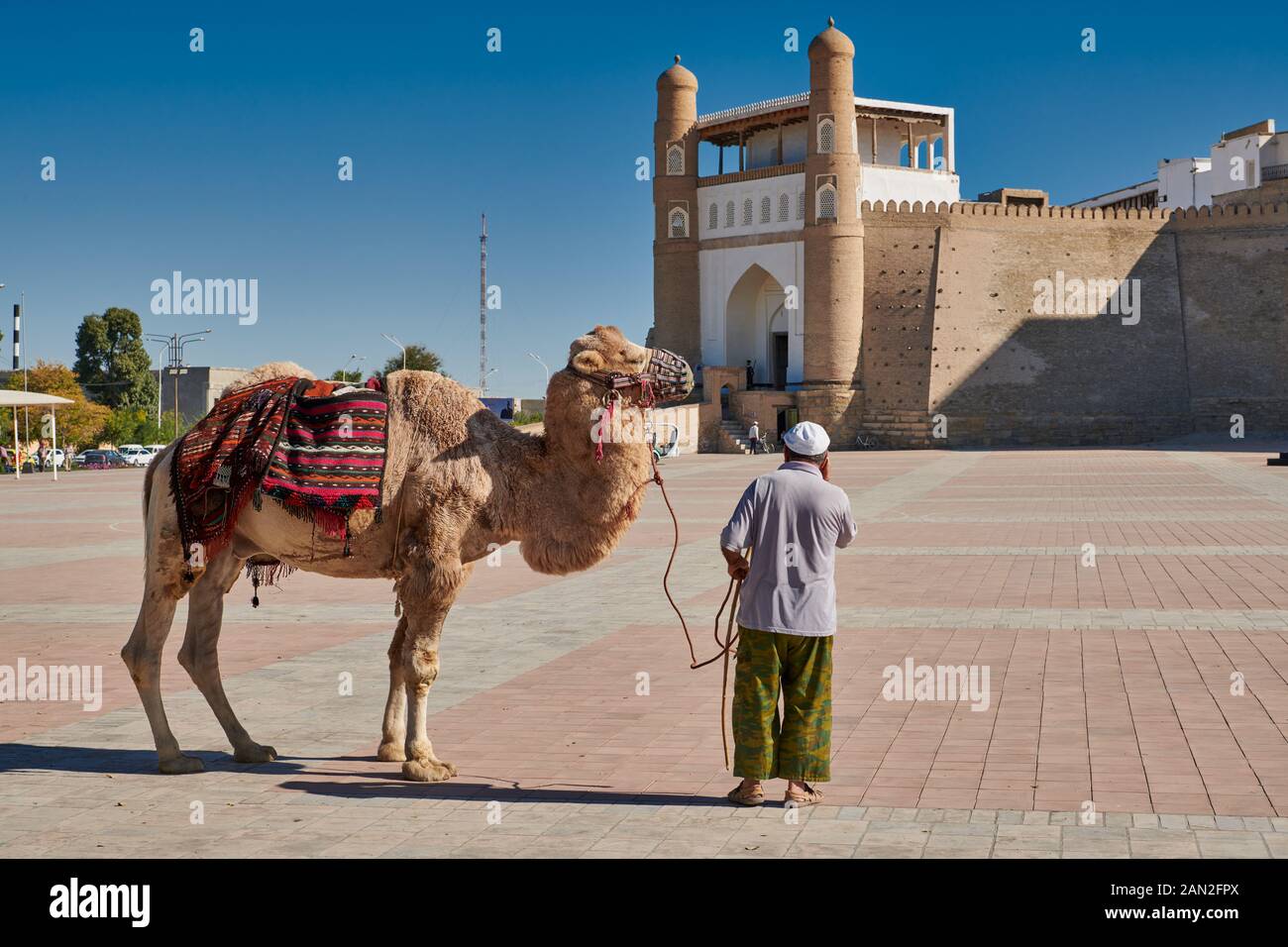 Camel silk road hi-res stock photography and images - Alamy