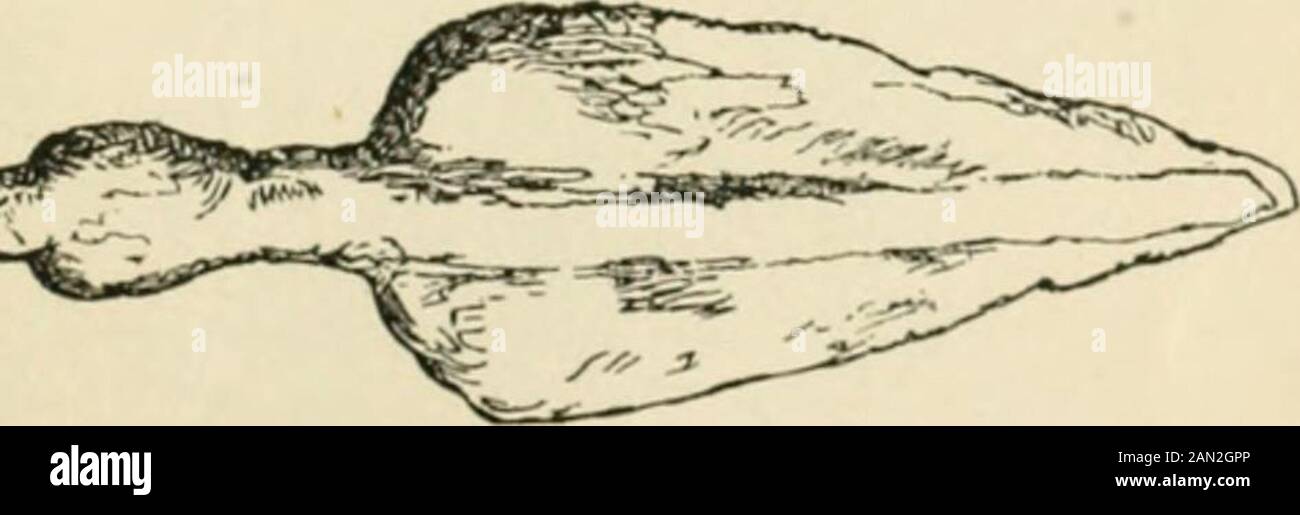 The seven great monarchies of the ancient eastern world: or, The ...