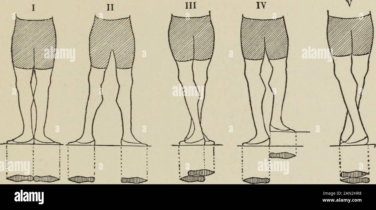 The antique Greek dance, after sculptured and painted figures . n ...